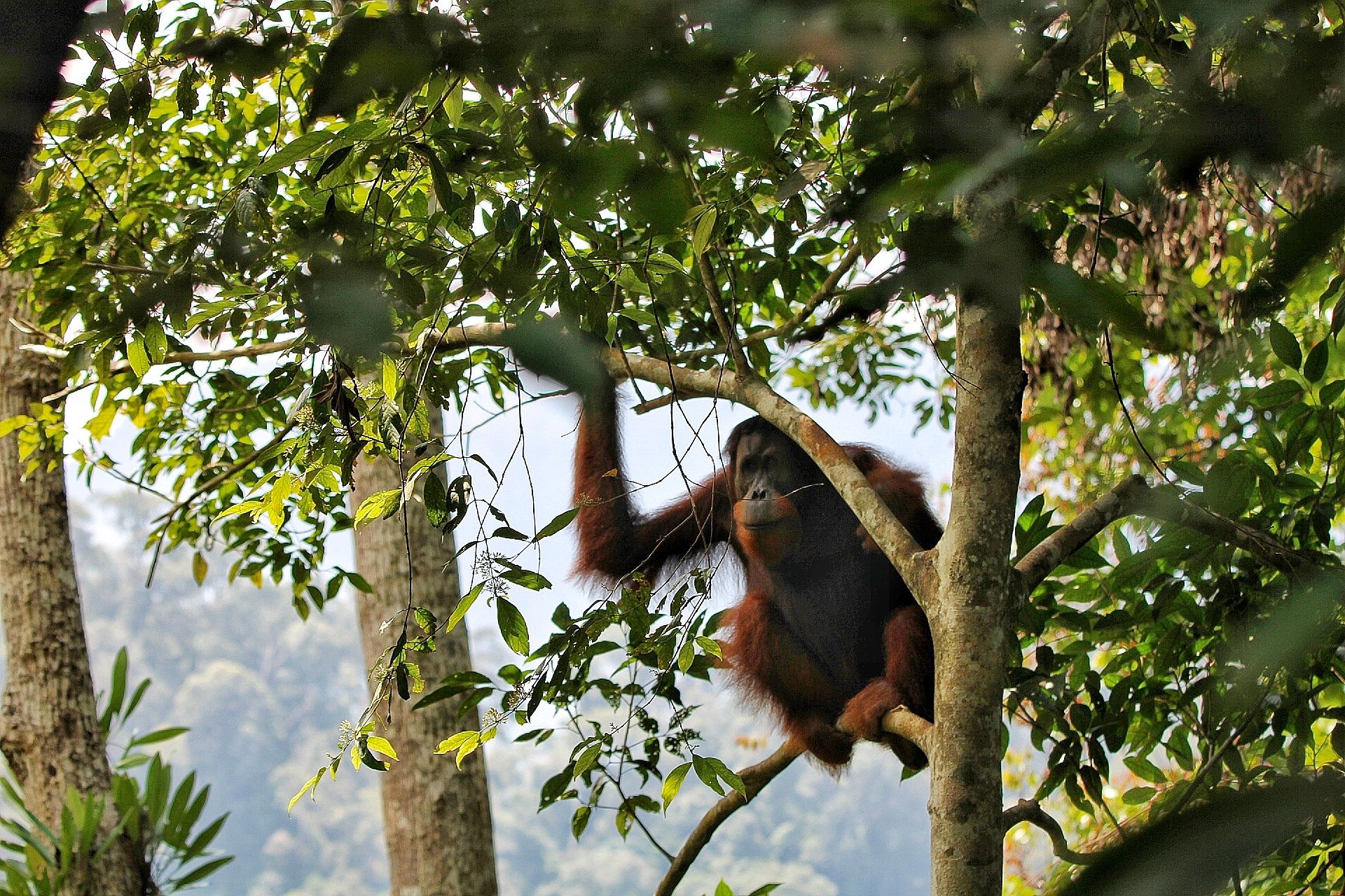 Wildly Adventures – Saving Wildlife one Adventure at a time.